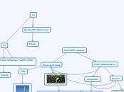 Cell Processes - Concept Map